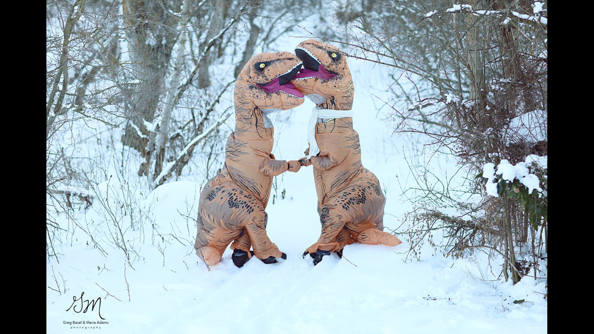 PHOTOS: T-Rex couple poses for photoshoot | 11alive.com