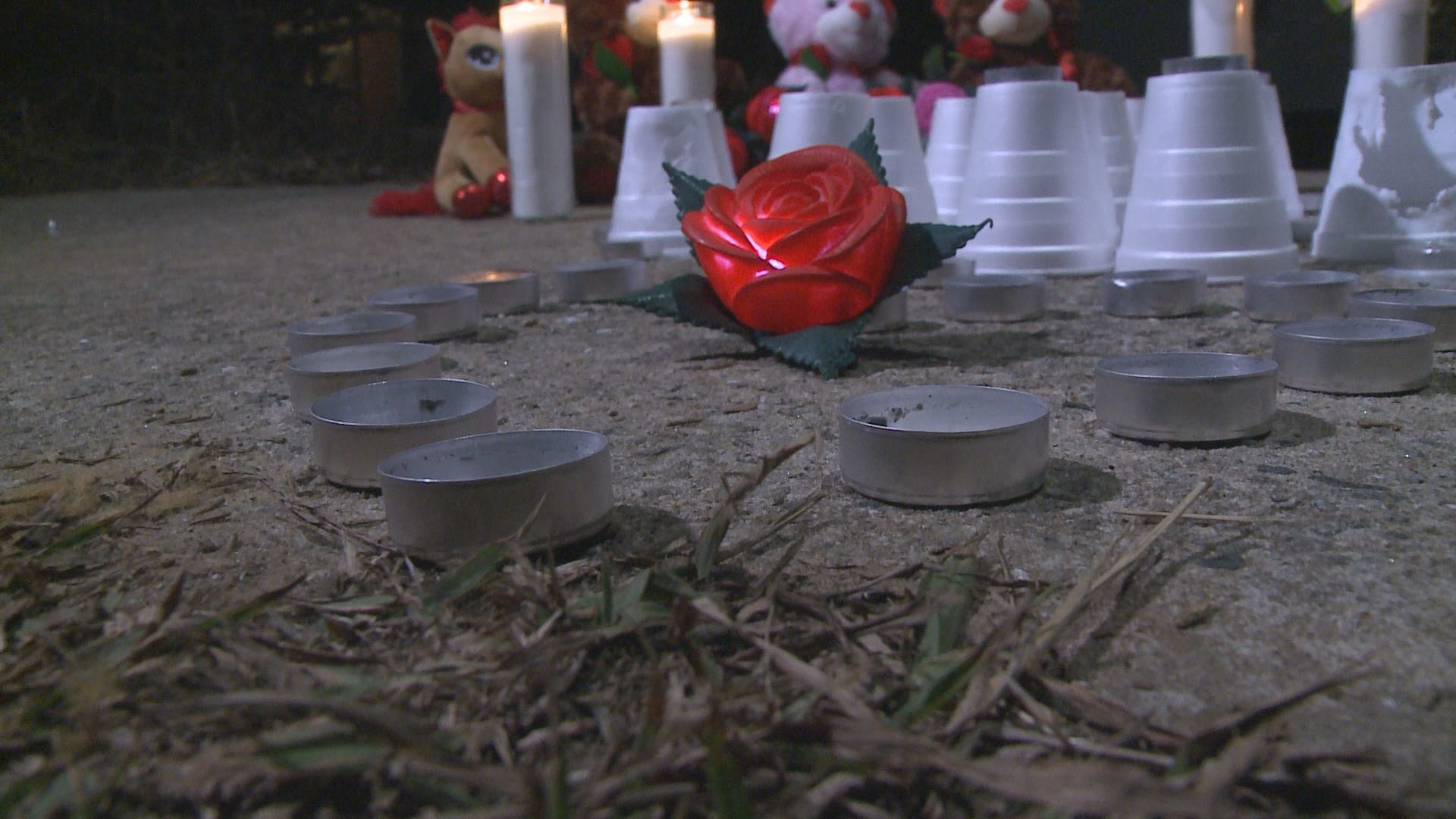 Family of boy killed in dog attack: 'Logan made everyone around him a ...