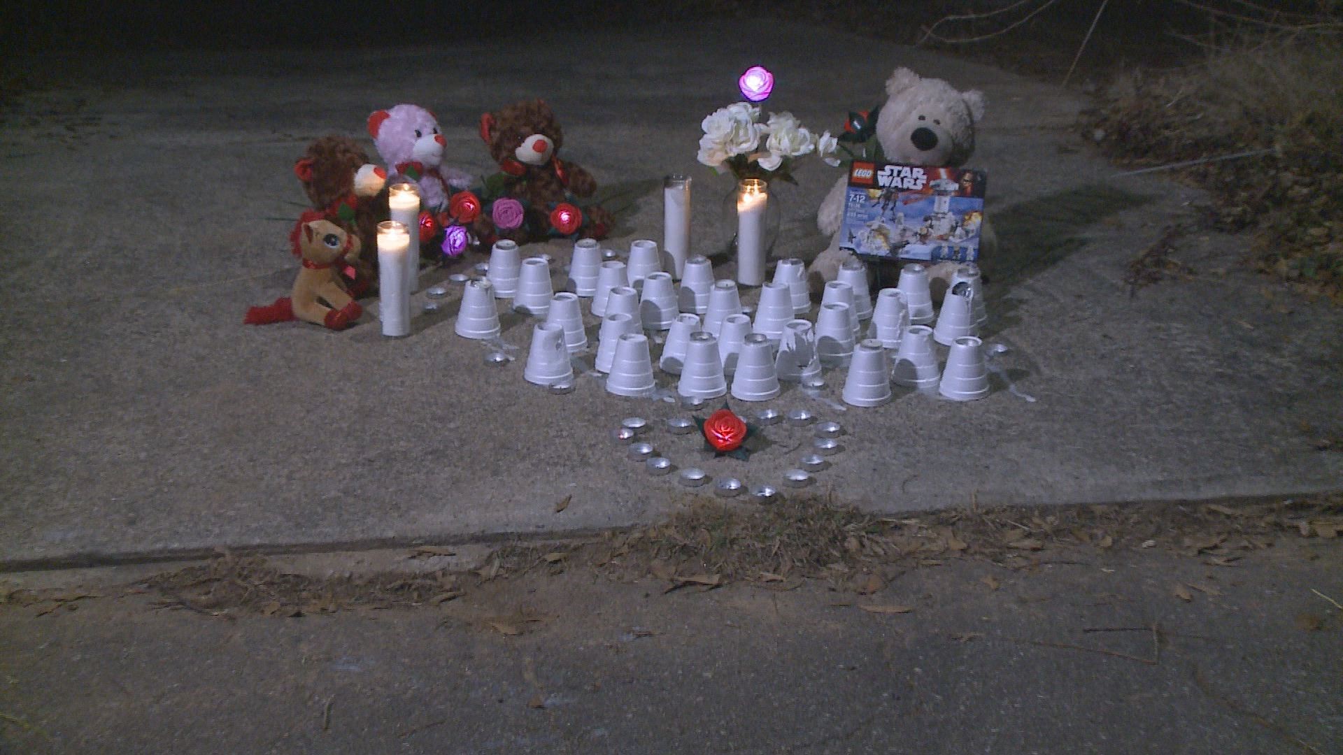 Family of boy killed in dog attack: 'Logan made everyone around him a ...