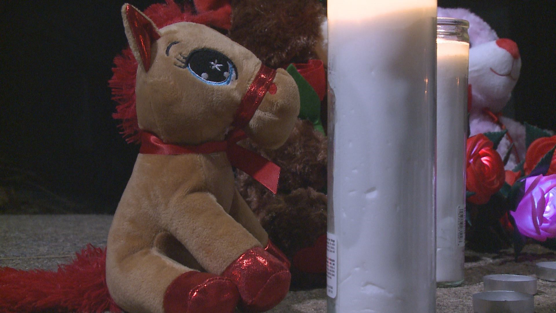 Family of boy killed in dog attack: 'Logan made everyone around him a ...