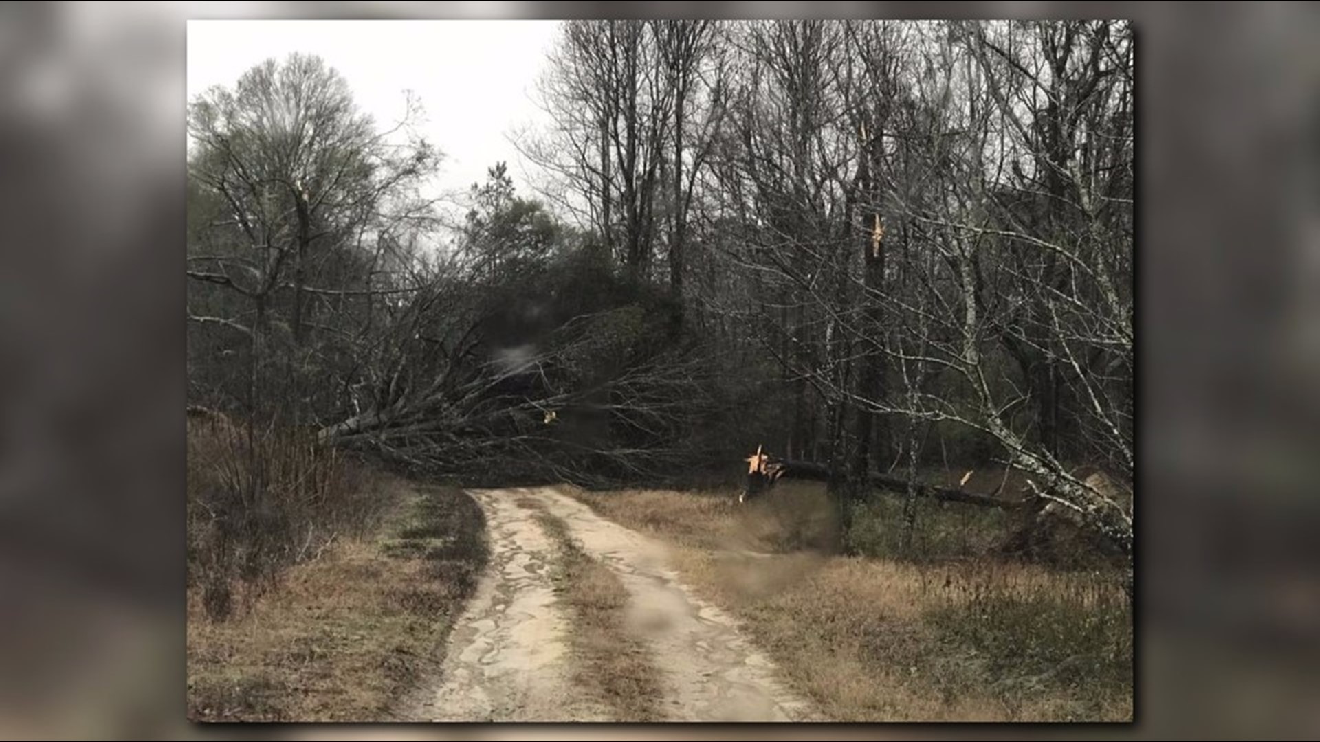 Striking photos show storm damage in SW Georgia | 11alive.com