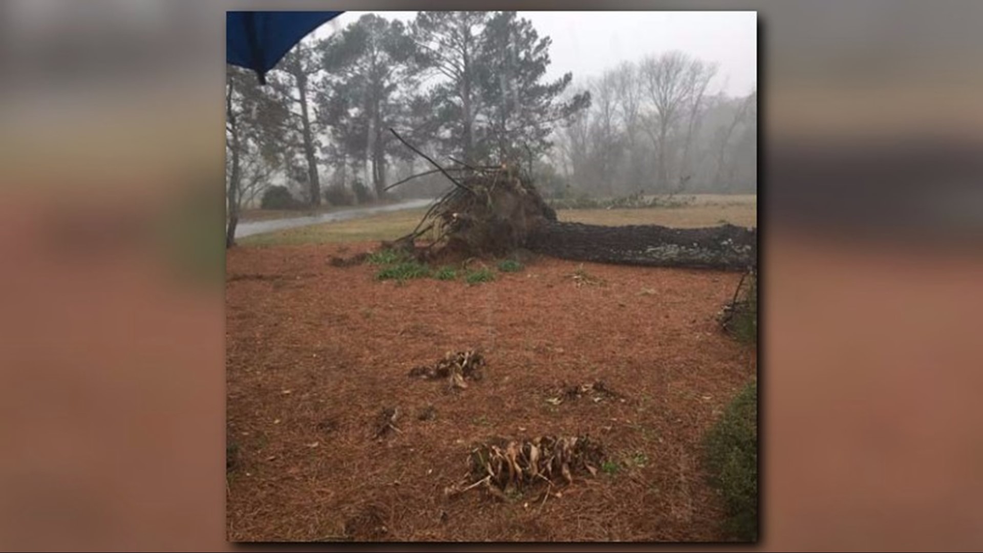Striking photos show storm damage in SW Georgia | 11alive.com