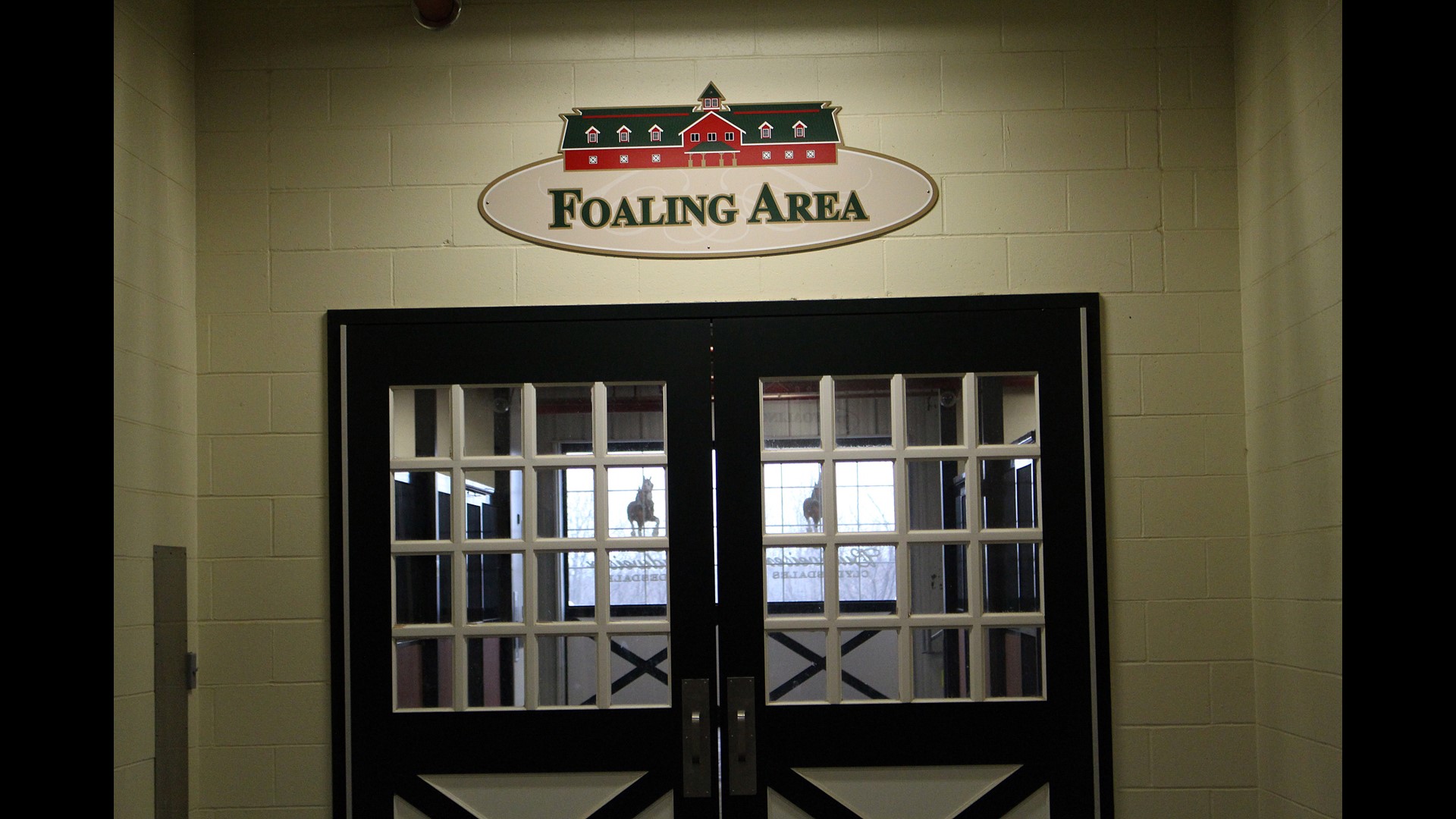Warm Springs Ranch, home of the Budweiser Clydesdales | 11alive.com