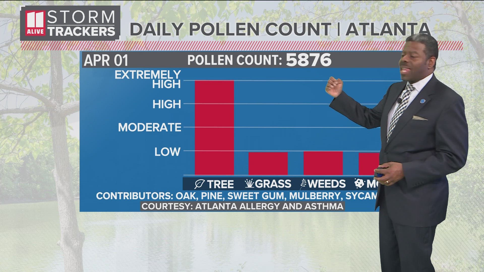 Allergies flaring? You're not alone - Atlanta pollen count at high ...
