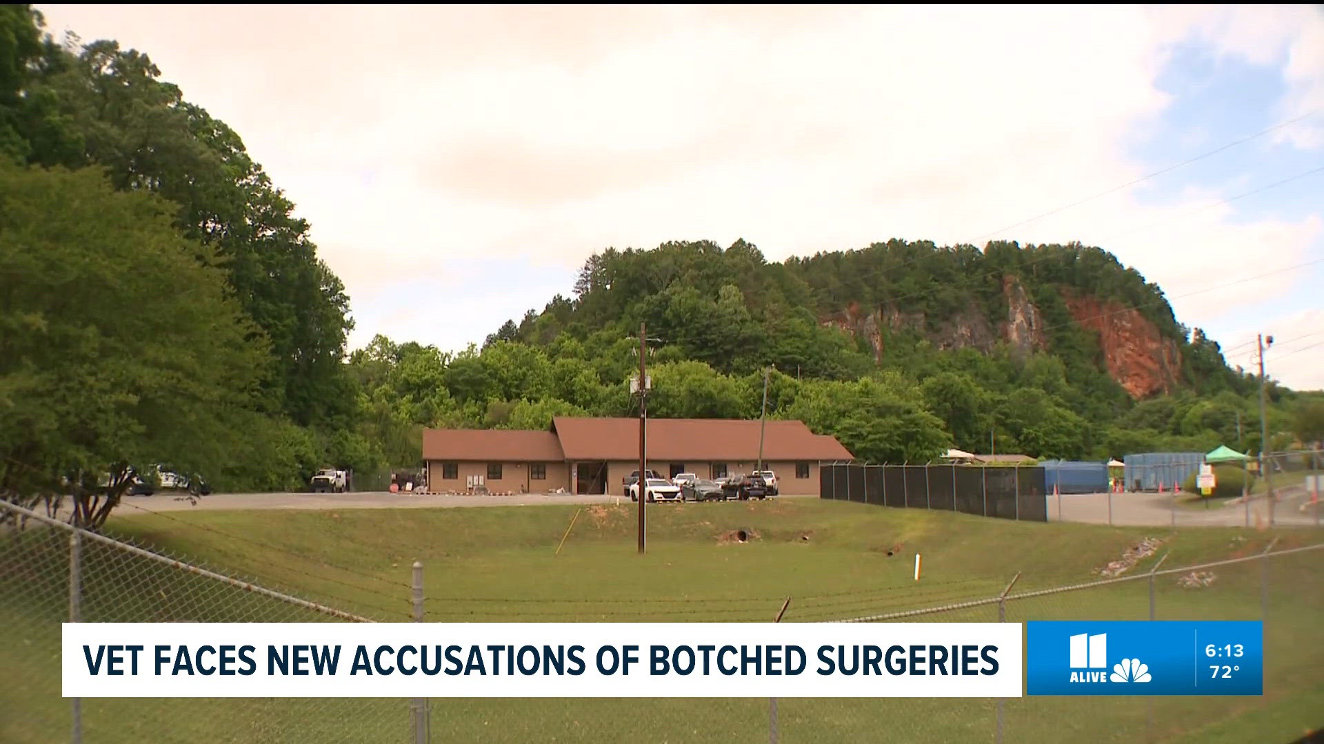 Veterinarian facing more allegations of botched surgeries injuring ...
