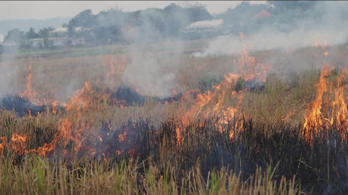 Georgia burn ban begins this week | List of counties impacted | 11alive.com