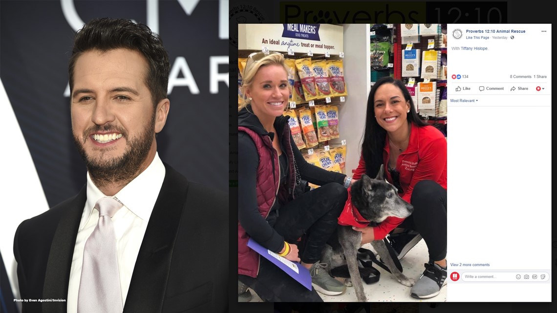 Luke Bryan, wife adopt 18-year-old rescue dog to give him forever home ...
