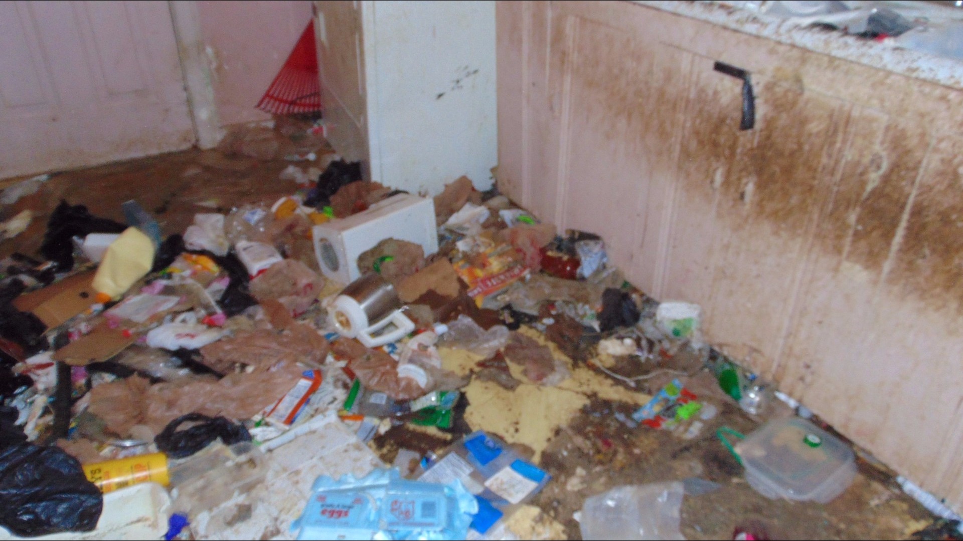 City condemns ‘deplorable' house after 31 animals, 2 kids removed ...