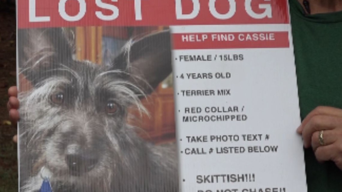 Scam targets owners of missing dogs, cats demanding money | 11alive.com