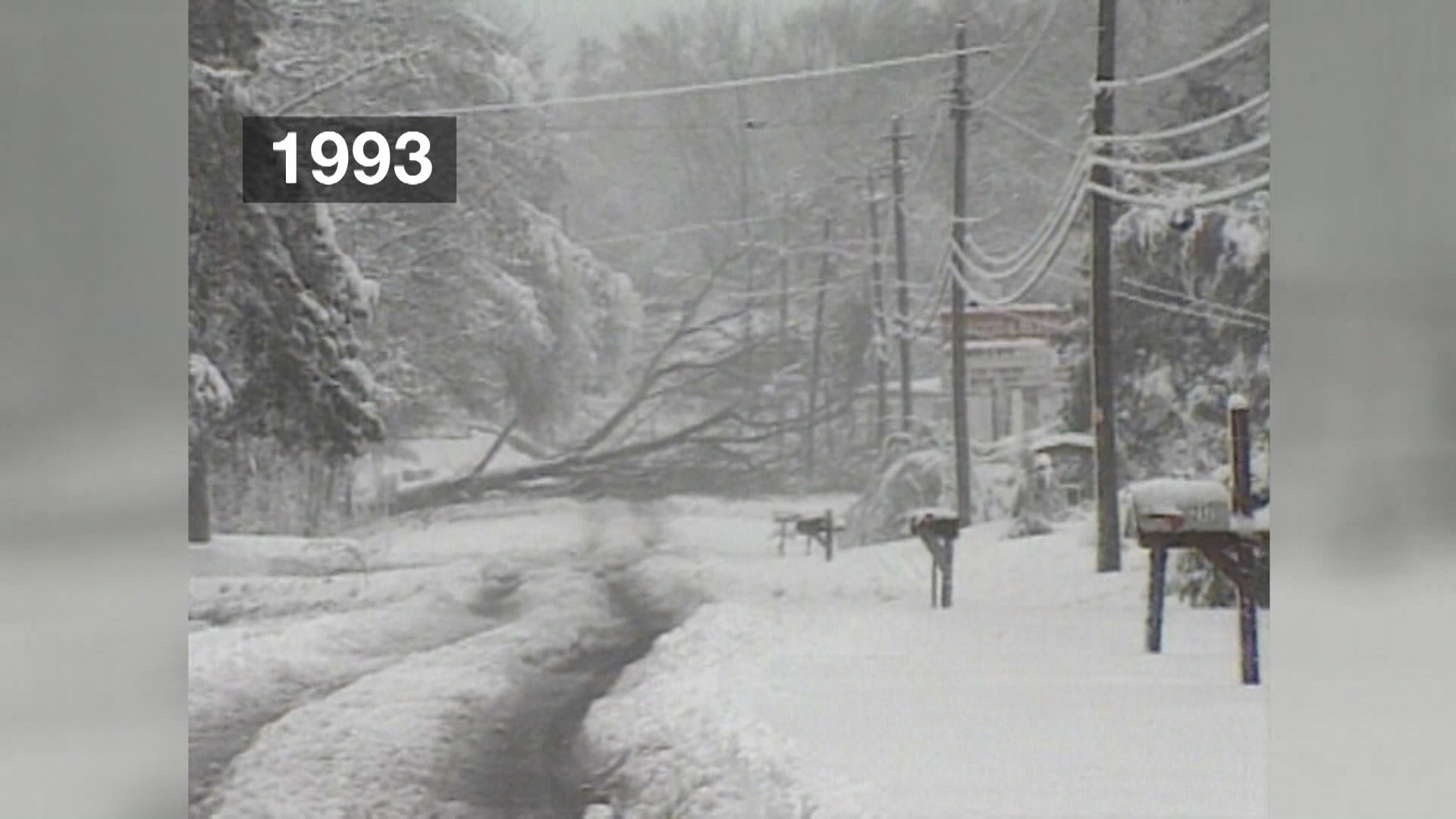 10 fast facts about the 1993 'Storm of the Century' | 11alive.com