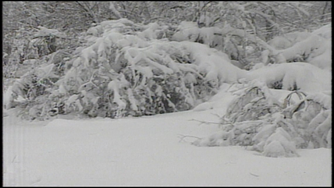 10 fast facts about the 1993 'Storm of the Century' | 11alive.com