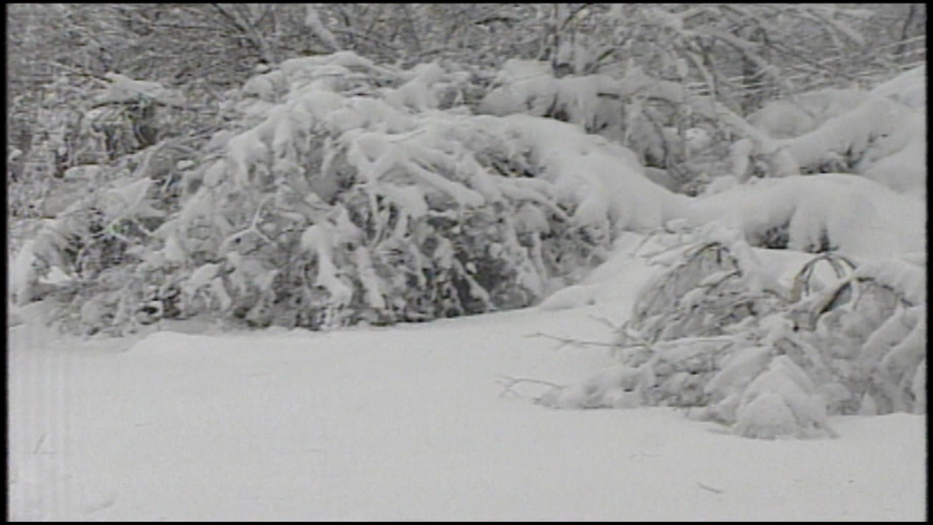 10 fast facts about the 1993 'Storm of the Century' | 11alive.com