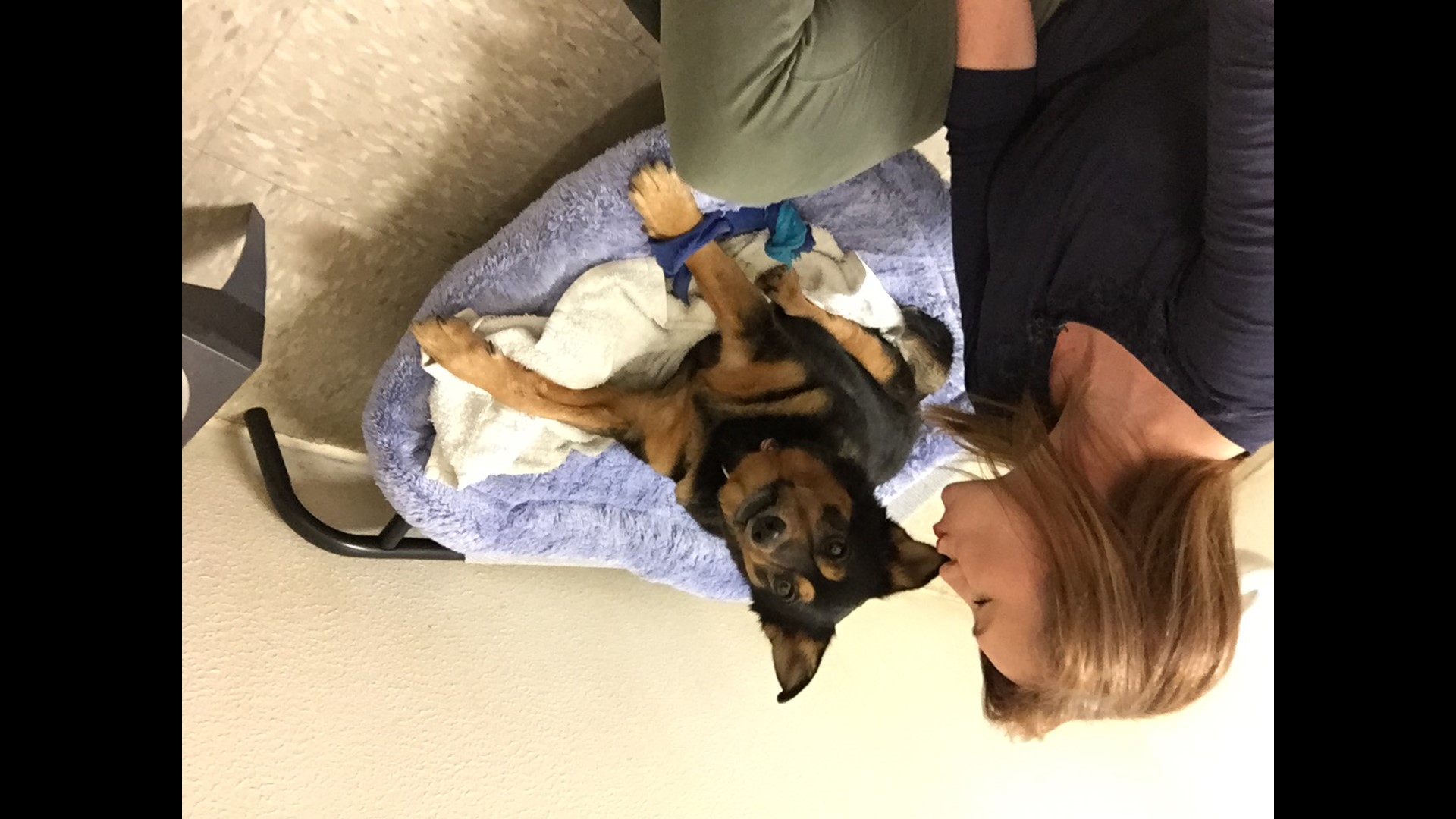 Prison mascot 'Bandit' needs to be adopted | 11alive.com