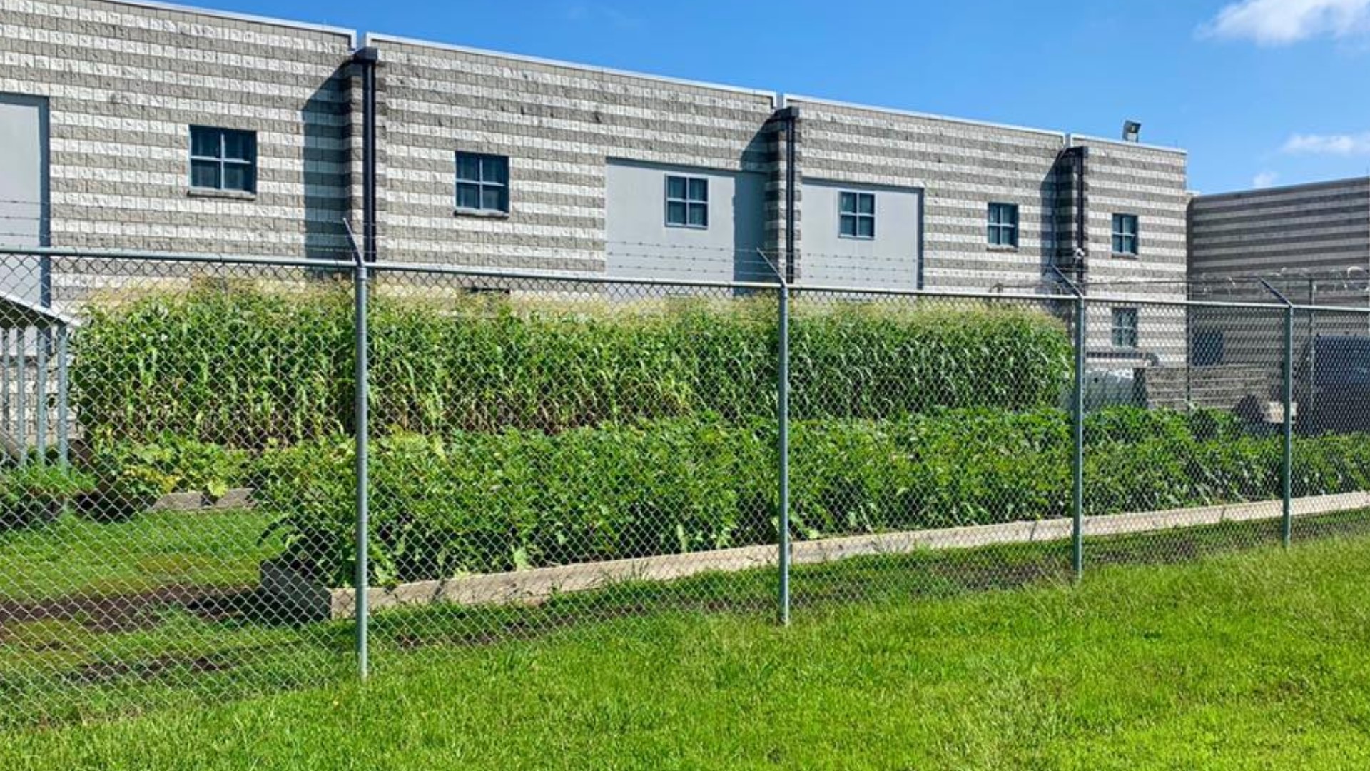 Inmates learning gardening in Gwinnett | 11alive.com
