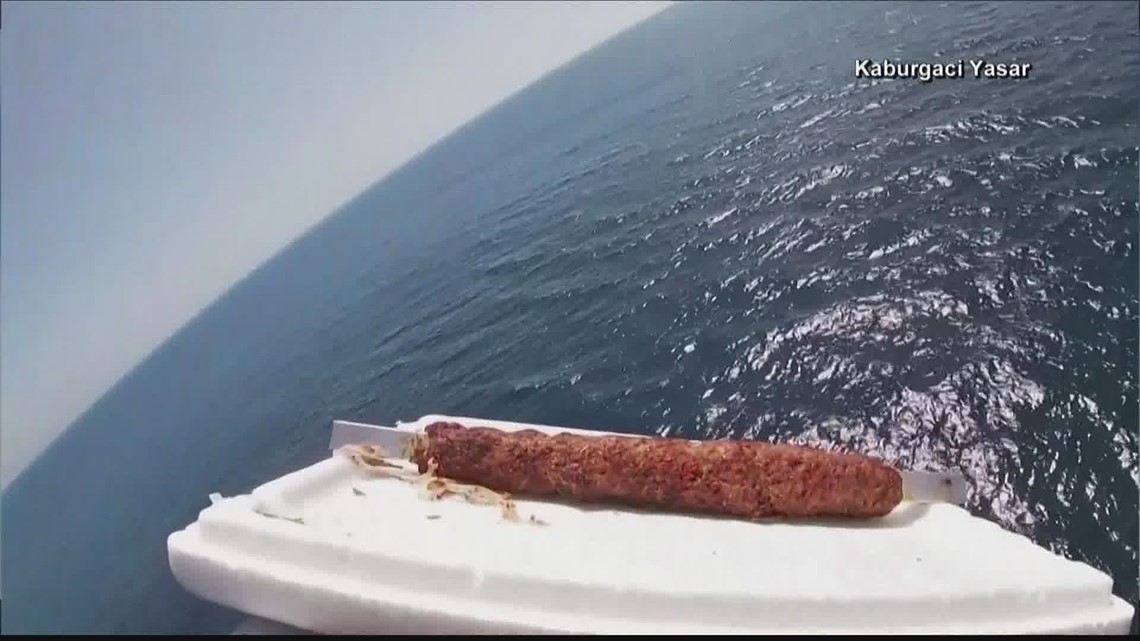 Science Buzz | World's first kebab launched into space, Earth Day ...