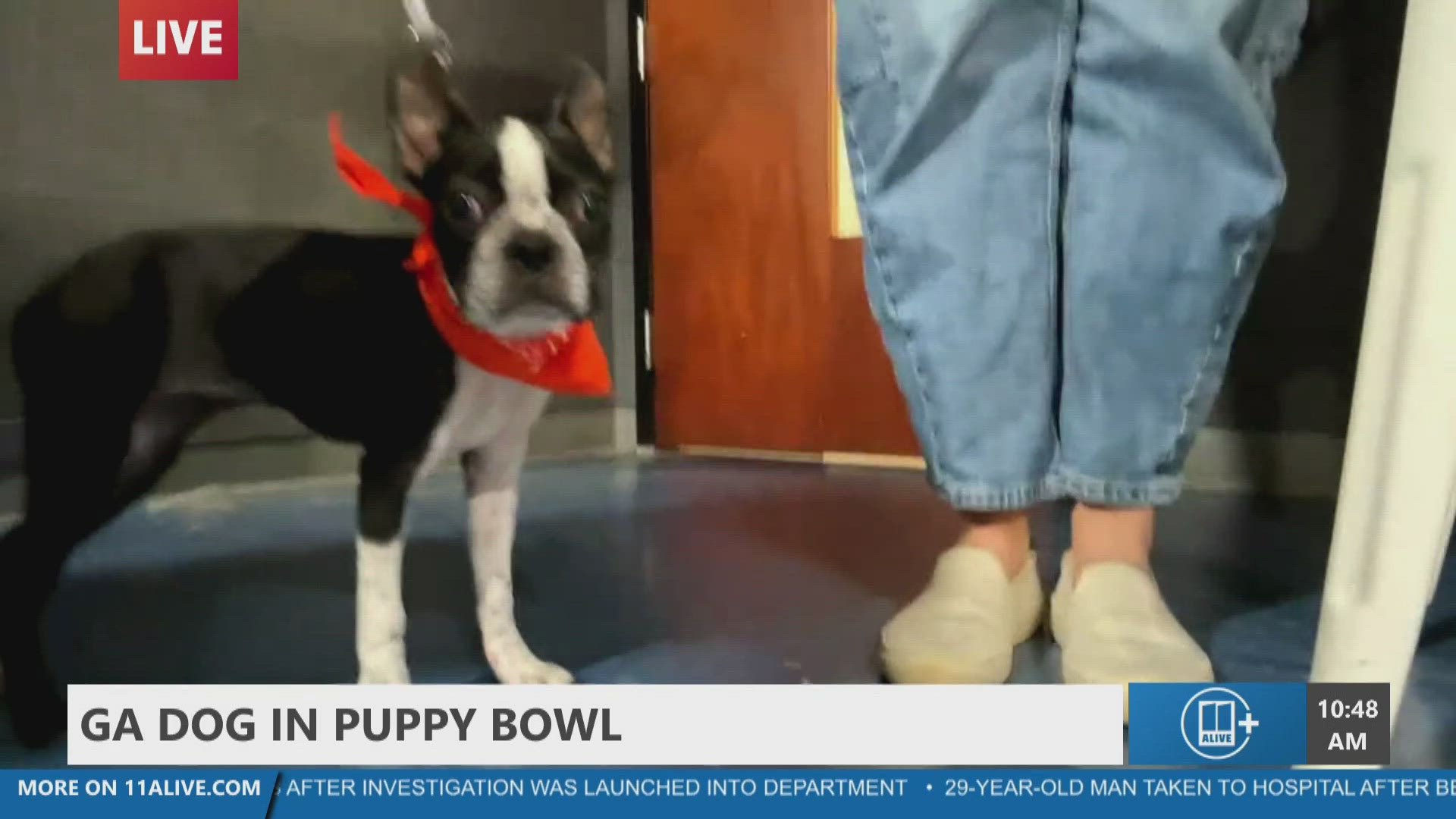 Forever chemicals in makeup have uncertain health effects, FDA report ...