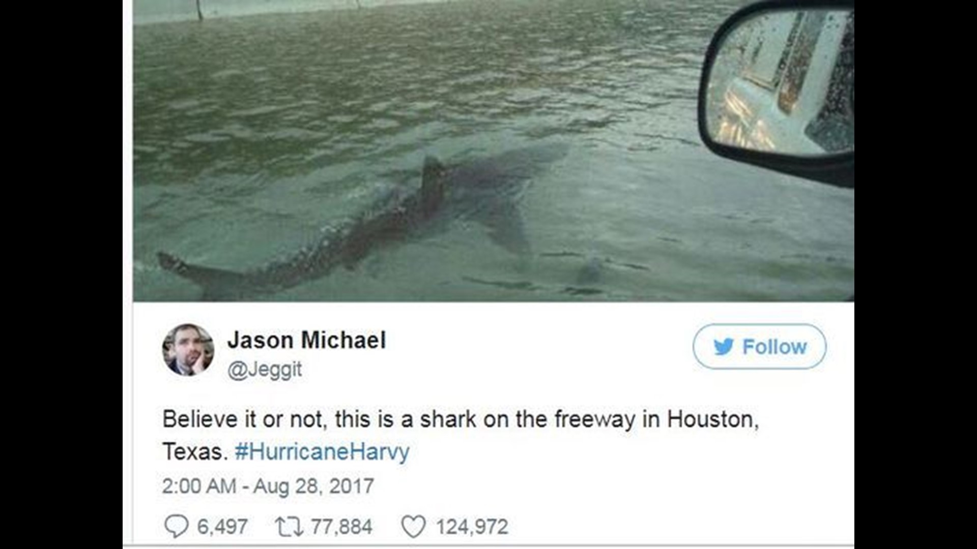 Hurricane Harvey: That shark photo is fake — and part of a bigger ...