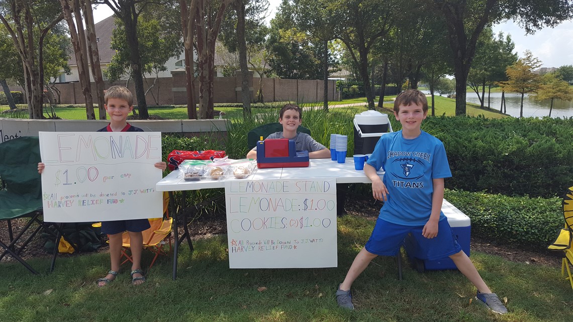 Boys' lemonade stand raises over $800 for Harvey victims | 11alive.com