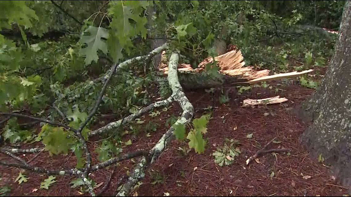 What to know if you need debris picked up in DeKalb Co. | 11alive.com