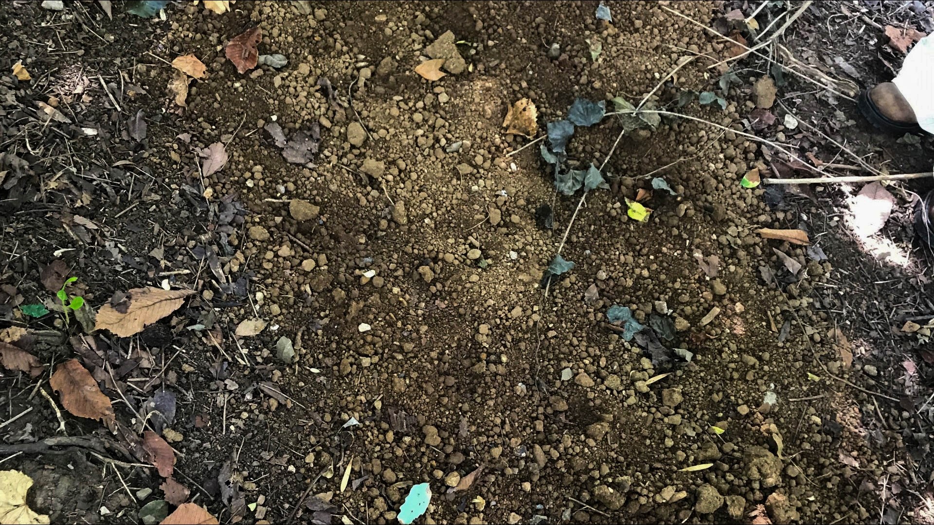 Photos | Inside The Body Farm | 11alive.com