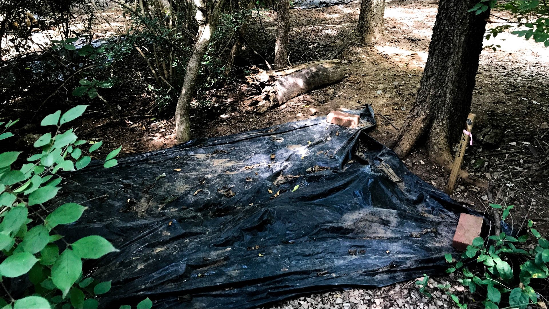 Photos | Inside The Body Farm | 11alive.com