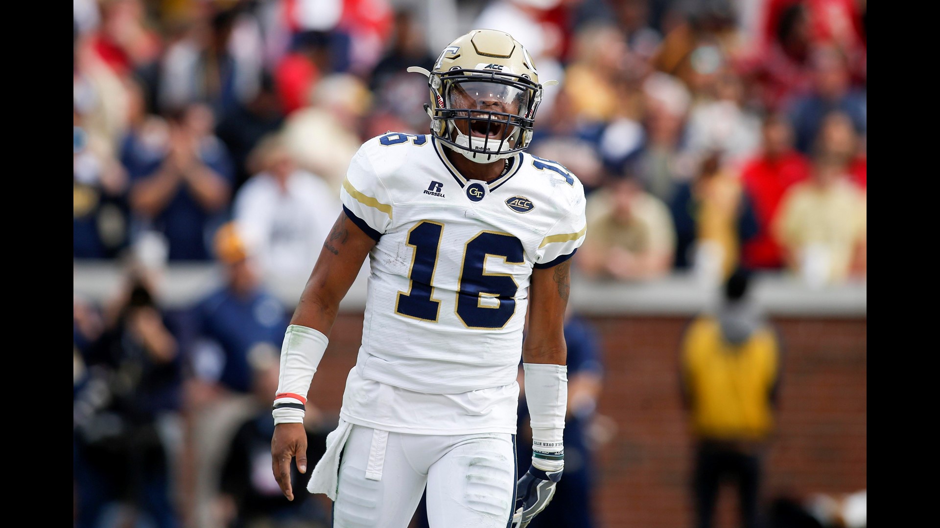 Despite GT ripping hedges last year, UGA passes on rowdy celebration ...