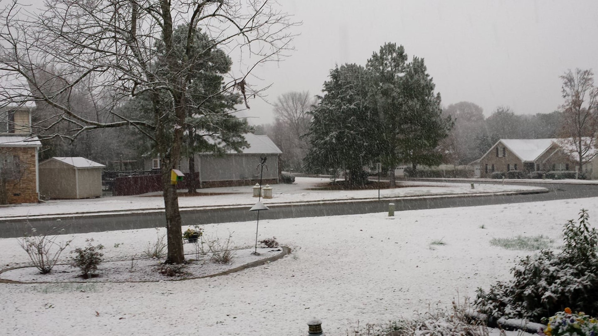 PHOTOS | Snow in Georgia 2017! | 11alive.com