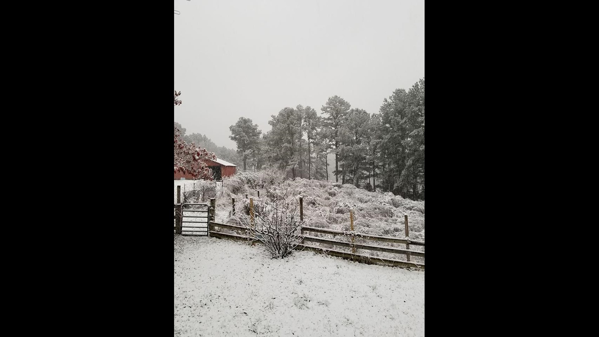 PHOTOS | Snow in Georgia 2017! | 11alive.com