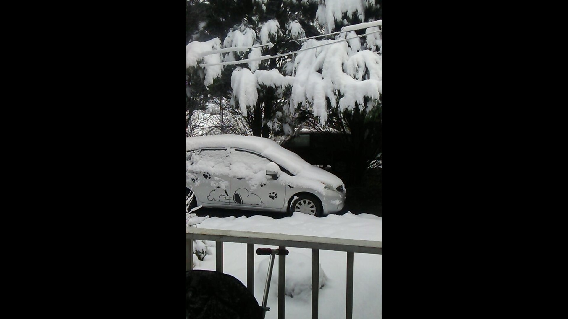 PHOTOS | Snow in Georgia 2017! | 11alive.com