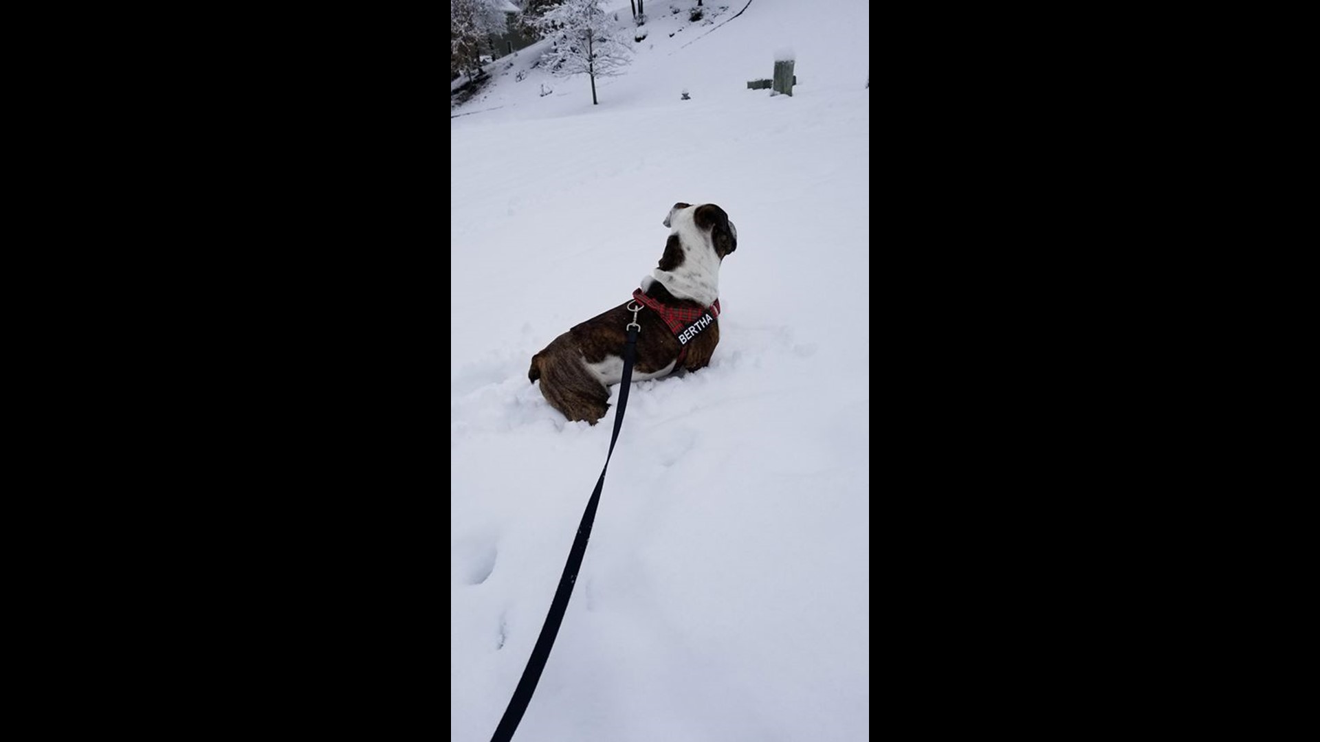 PHOTOS | Snow in Georgia 2017! | 11alive.com