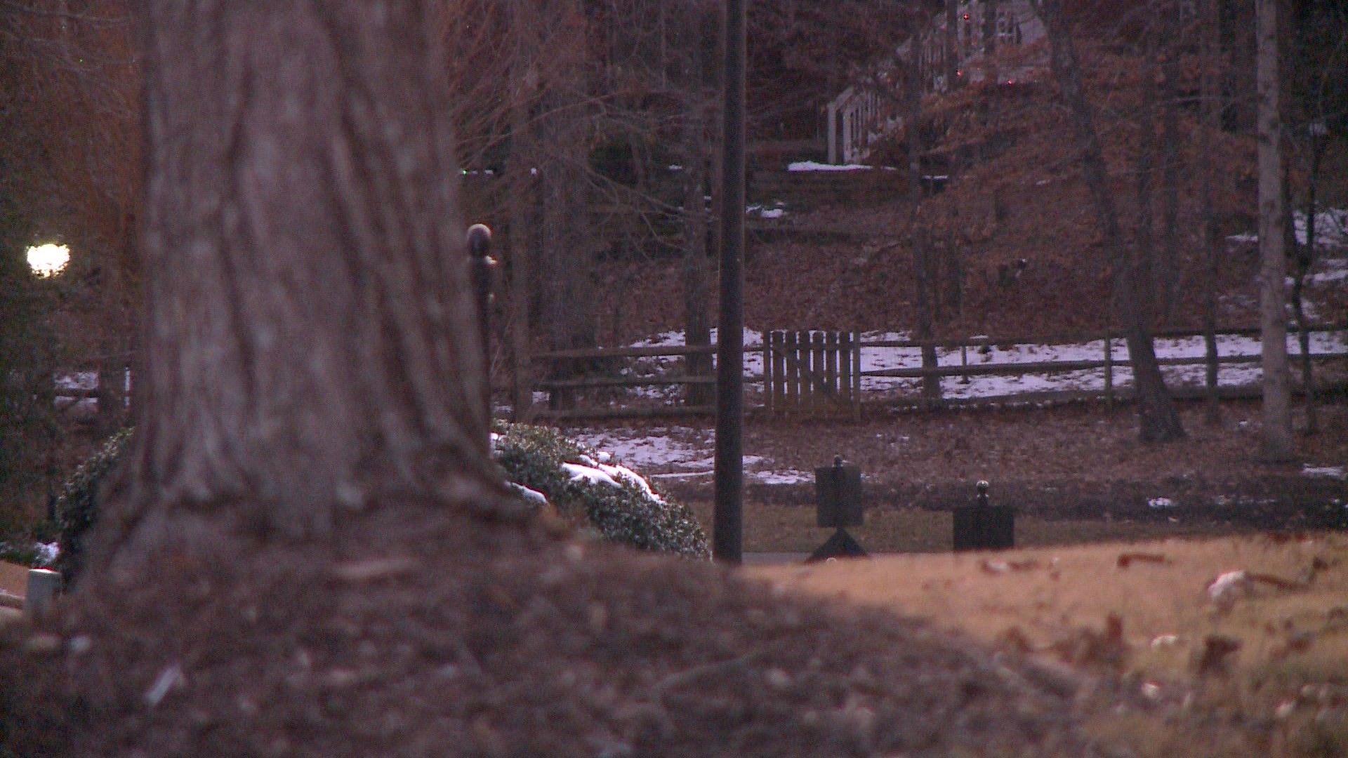 Kennesaw mom paralyzed after tree limb falls on her | 11alive.com