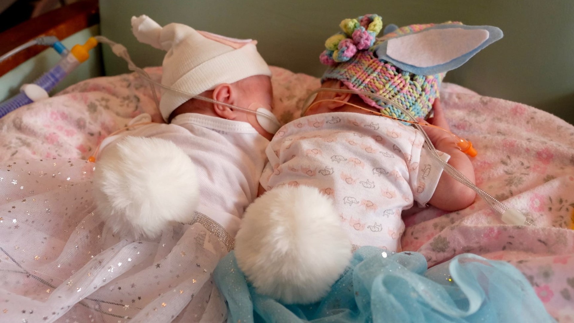 Wellstar nurses dress NICU infants in costumes for Halloween | 11alive.com