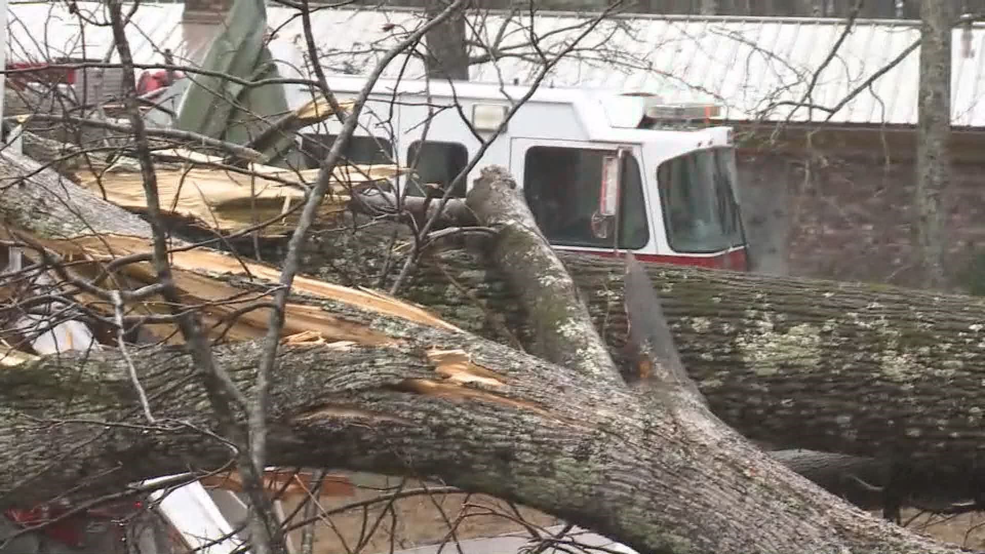 PHOTOS | Truck smashed, trees down in Bremen storm damage | 11alive.com
