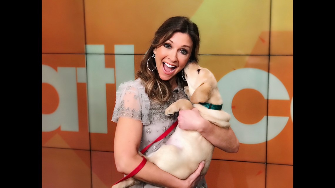 PHOTOS | Meet Izzy the 11Alive Puppy | 11alive.com