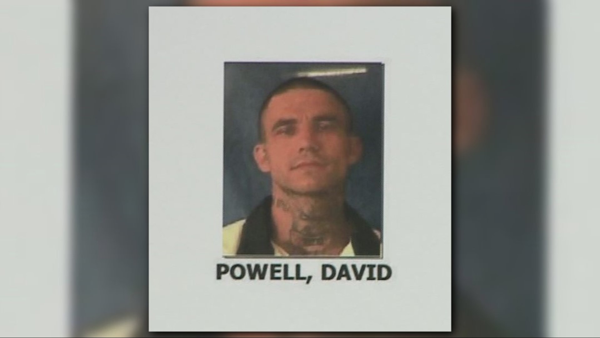NAMES AND MUGSHOTS: 23 alleged Ghostface Gangster members charged ...