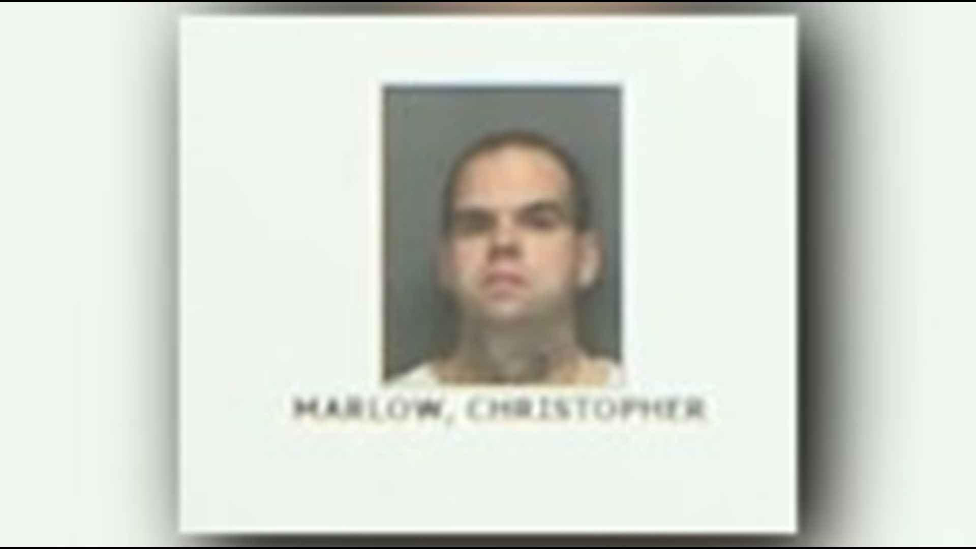 NAMES AND MUGSHOTS: 23 alleged Ghostface Gangster members charged ...