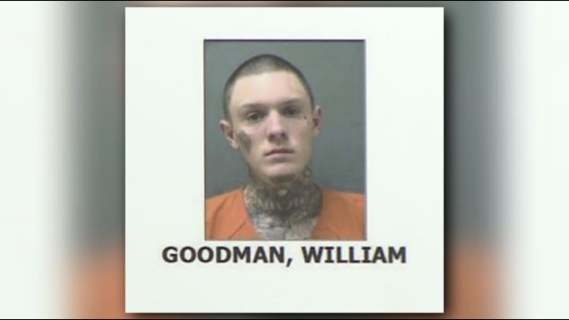 NAMES AND MUGSHOTS: 23 alleged Ghostface Gangster members charged ...