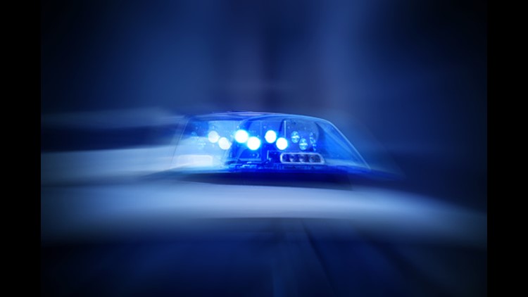 Paulding deputy Michael McMaster terminated body slam arrest | 11alive.com