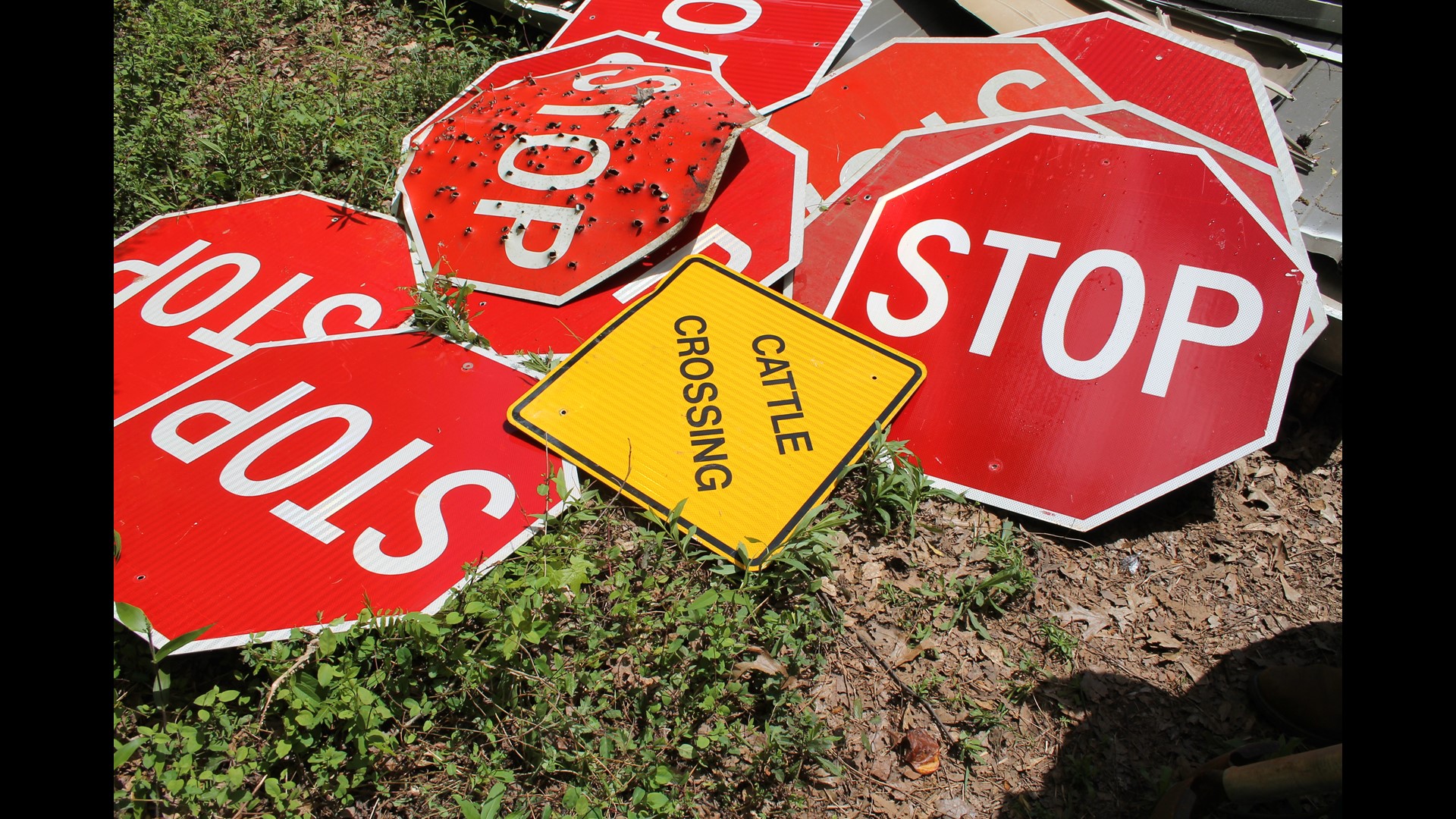 Man arrested for allegedly stealing 40+ road signs | 11alive.com