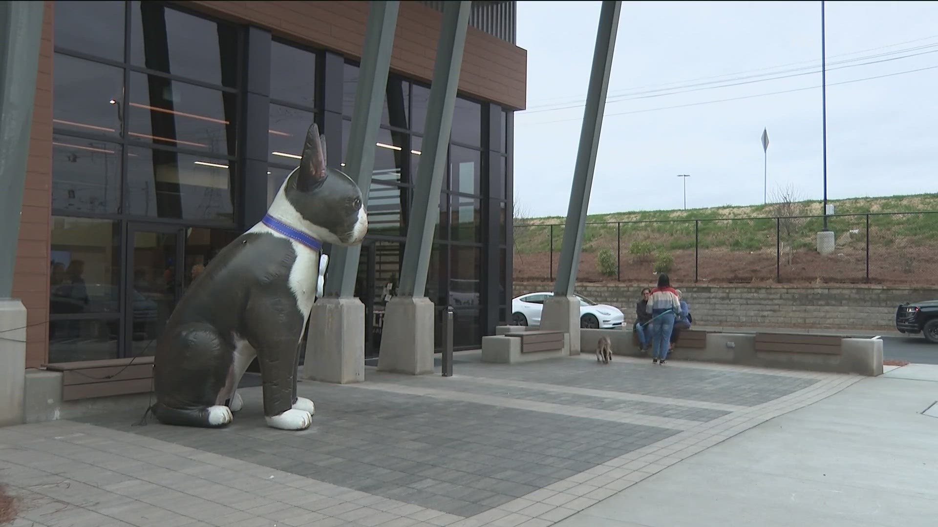 Fulton County cuts animal control services for Atlanta | 11alive.com