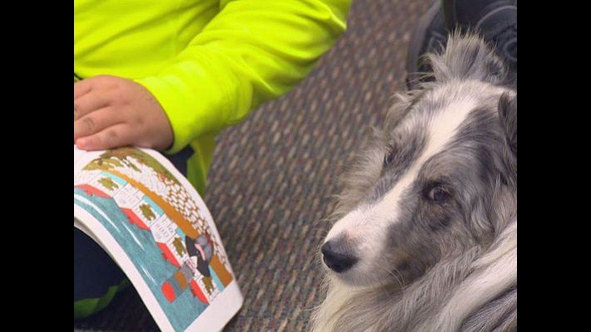 Why these kids read to dogs will make you smile | 11alive.com