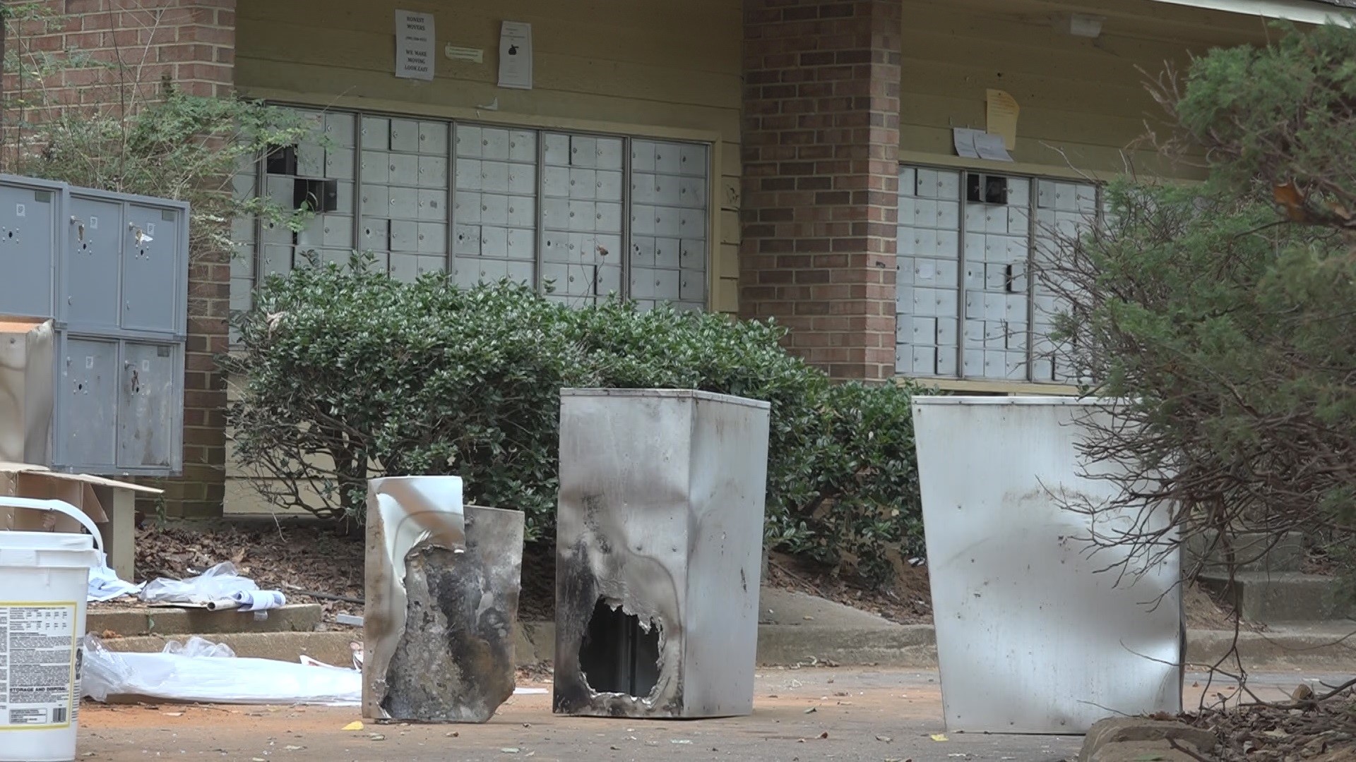 Residents: Rat infestation is so bad, postal workers refuse to deliver ...