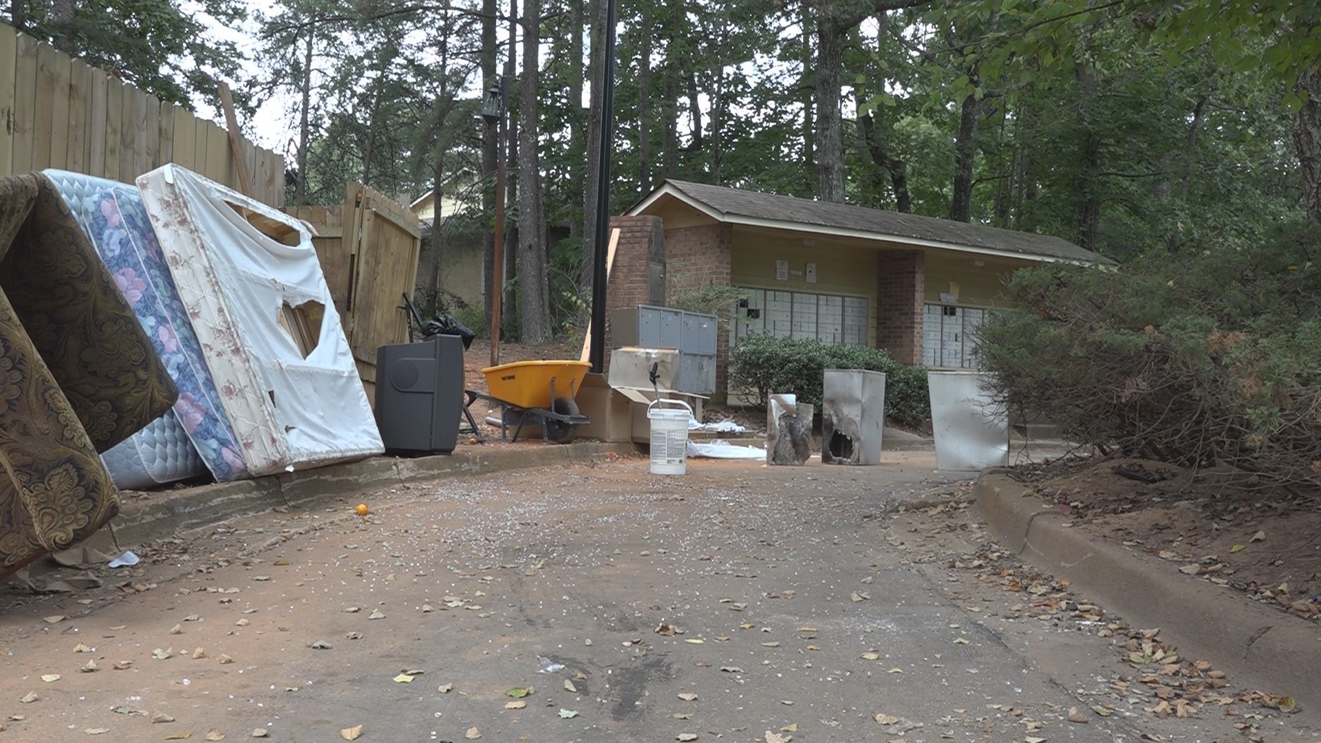 Residents: Rat infestation is so bad, postal workers refuse to deliver ...