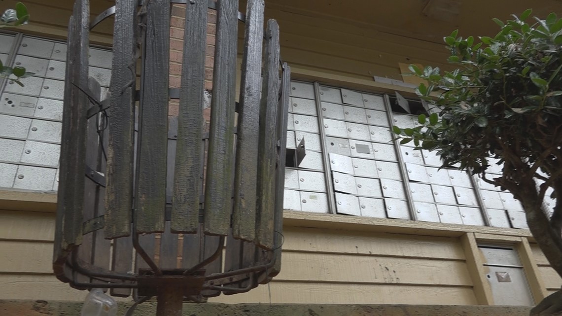 Residents: Rat infestation is so bad, postal workers refuse to deliver ...