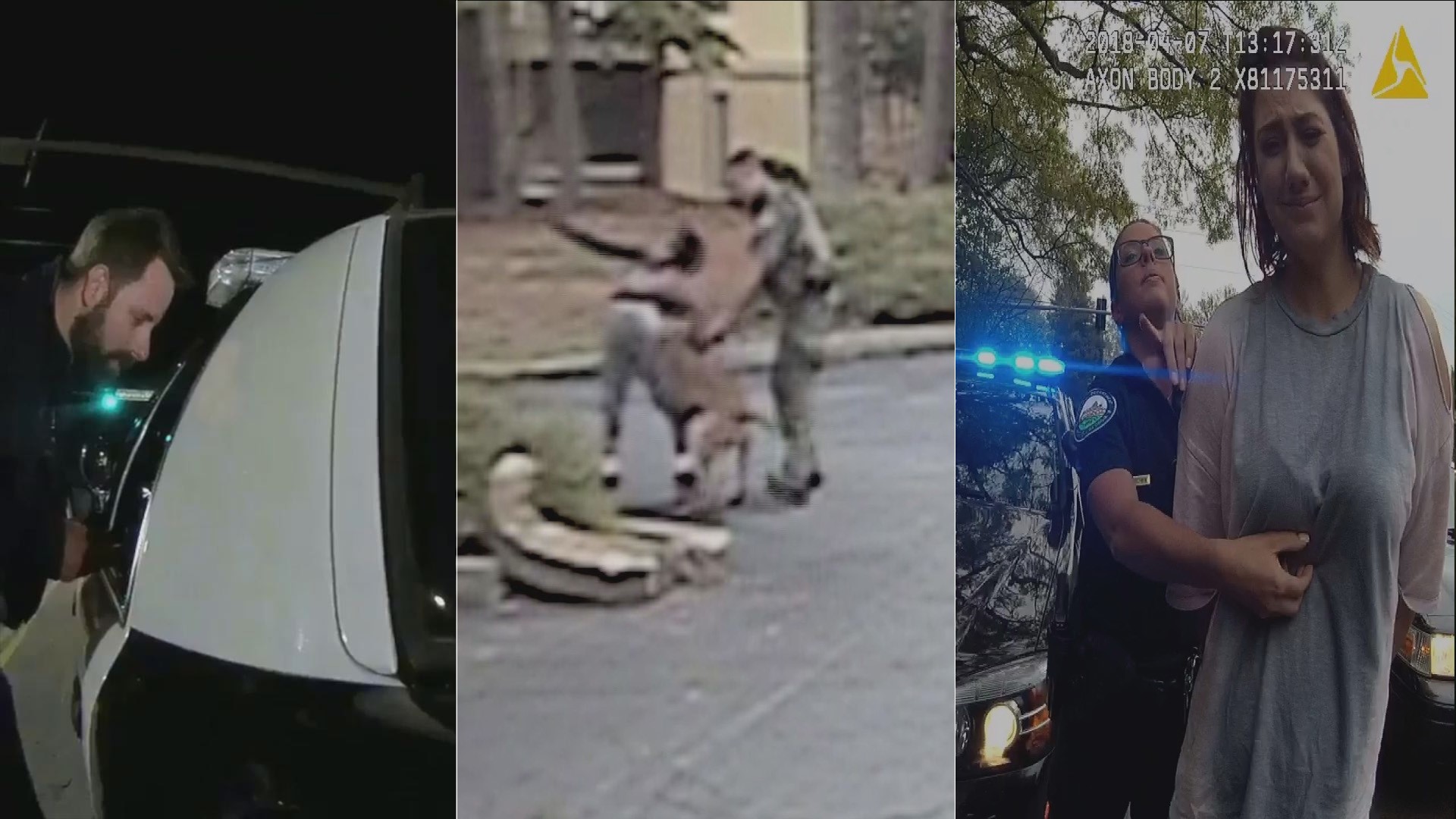 Officers behaving badly on the job: Why do these issues arise ...