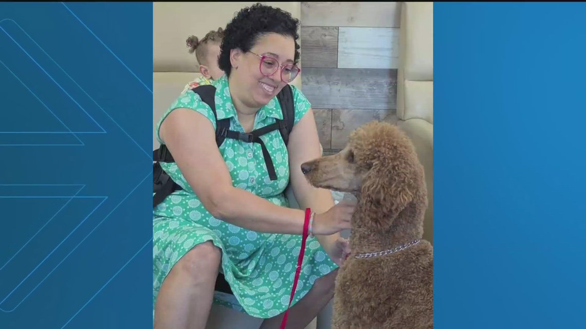 Veteran's missing service dog Bruno found dead along Atlanta interstate ...
