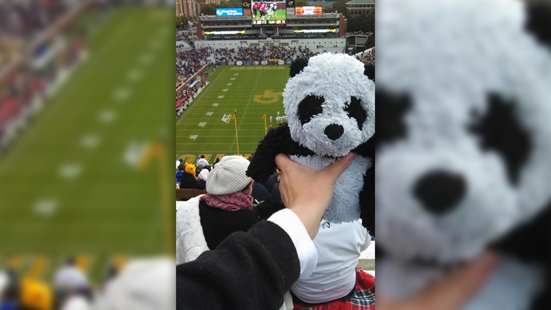 Have you seen me? Family searches for lost panda last seen off I-20 ...