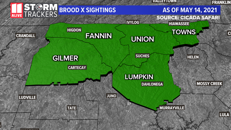 Cicadas emerge in North Georgia | 11alive.com