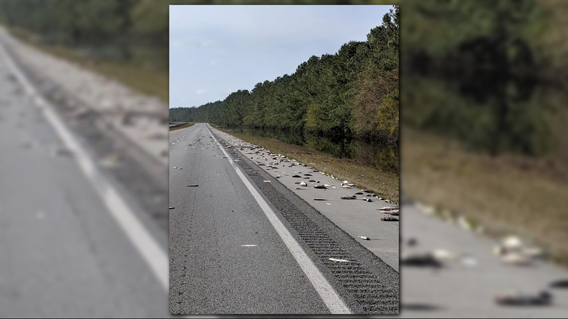 Receding floodwaters leave behind smelly mess on highway | 11alive.com
