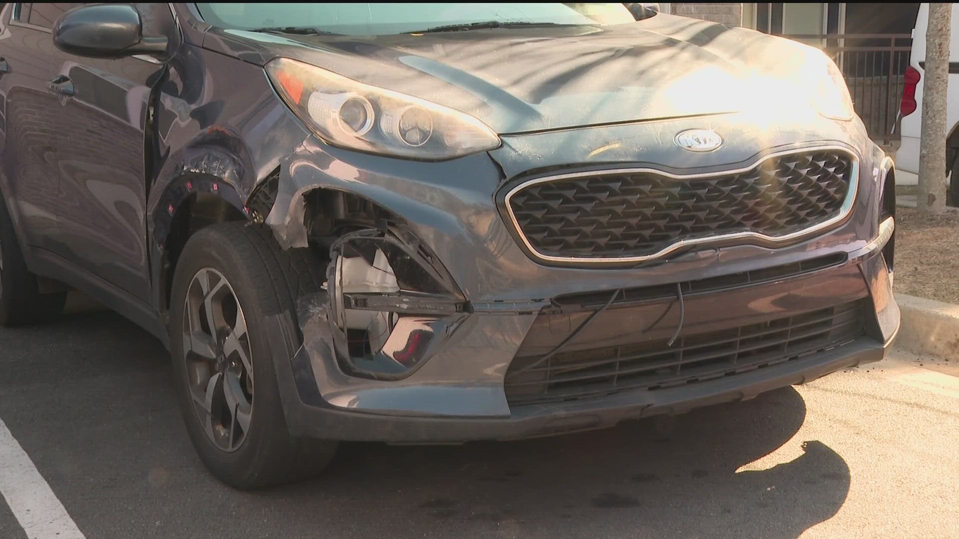 Dogs caught on video ripping apart Atlanta woman's car, owner charged ...